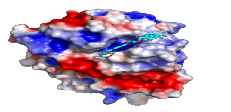 Identifican enzimas “Come plásticos” en Océanos Antárticos - Instituto ...
